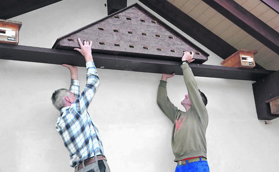 Ein Hotel für die Mauersegler